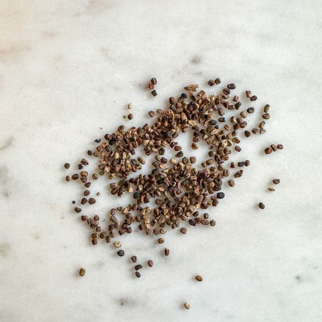 Cardamom Seeds– Olive Branch Oil & Spice